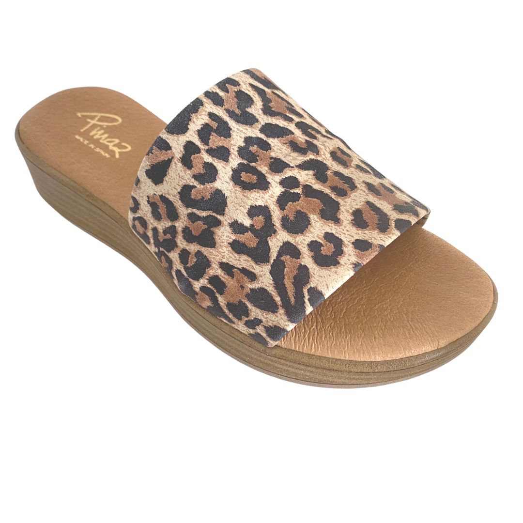 Pinaz 739 – Spanish Shoes Australia