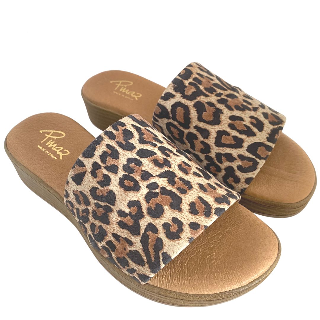 Pinaz 739 – Spanish Shoes Australia