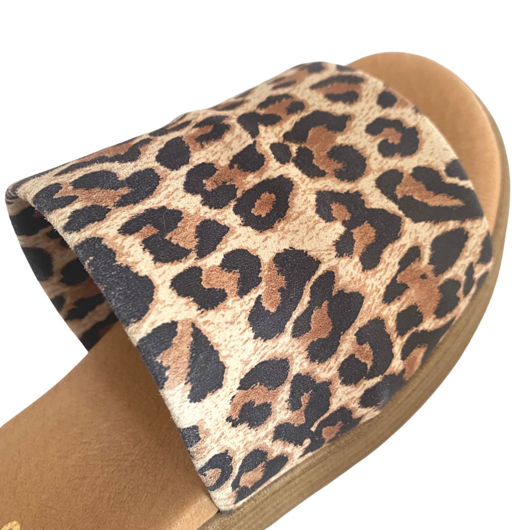 Pinaz 739 – Spanish Shoes Australia